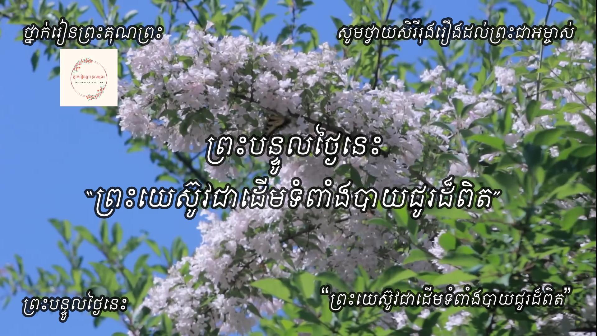 Jesus Christ, the True Vine – GOD GRACE CLASSROOM